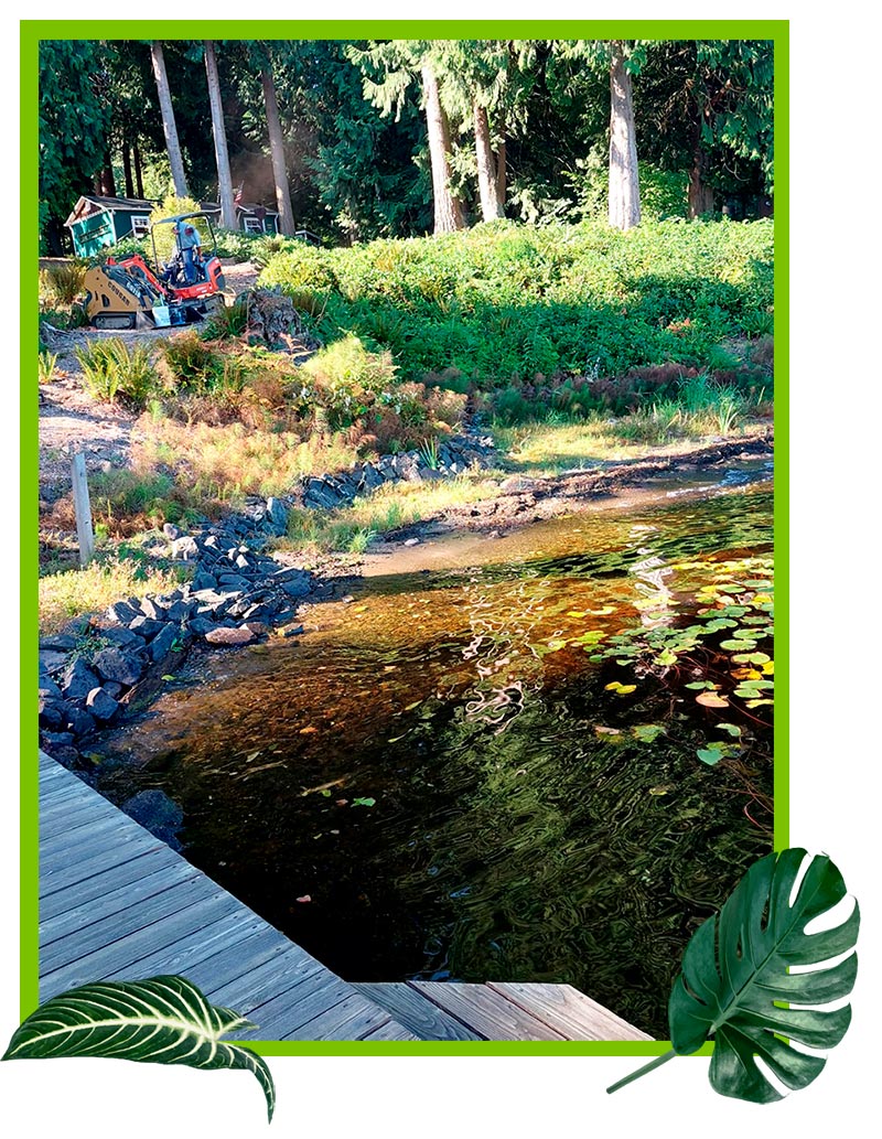Sergio Landscape - Landscaping